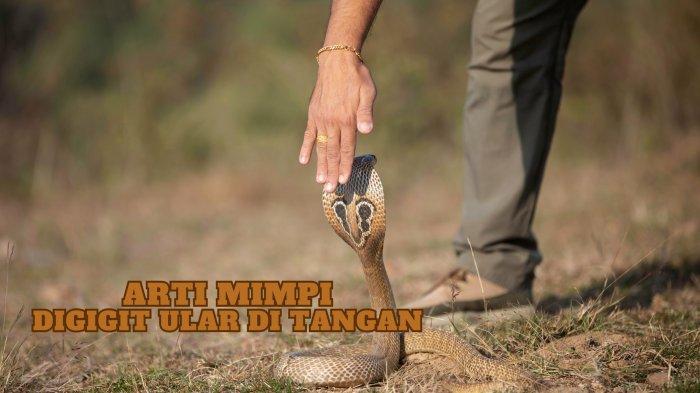 11 Arti Mimpi Digigit Ular di Tangan: Pertanda Rezeki atau Kesusahan ...
