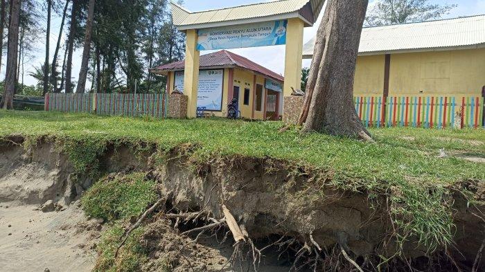 Bangunan Tempat Konservasi Penyu Satu-satunya di Provinsi Bengkulu ...