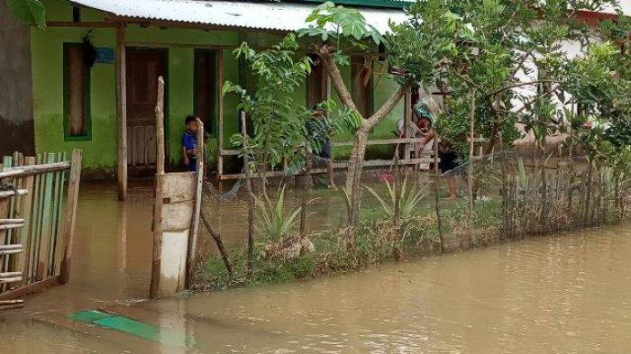 Update Banjir di Provinsi Bengkulu: Ratusan Rumah dan Puluhan Hektar Sawah Terendam ...