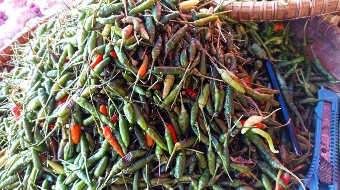 Harga Cabai Rawit di Pasar Tradisional Bengkulu Tembus Rp 60 ribu per Kilogram - Tribunbengkulu.com
