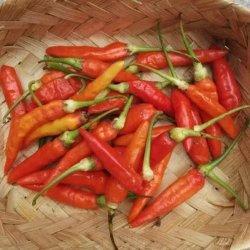 Jelang Ramadan 2025, Harga Cabai Rawit Merah di Seluma Bengkulu Semakin Pedas - Tribunbengkulu.com