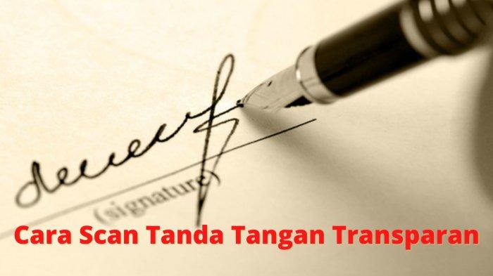 Cara Scan Tanda Tangan dan Cap Stempel Transparan di Word Terbaru ...