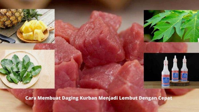 Tips Memasak Daging Kurban Agar Lembut dan Hemat Gas - Tribunbengkulu.com