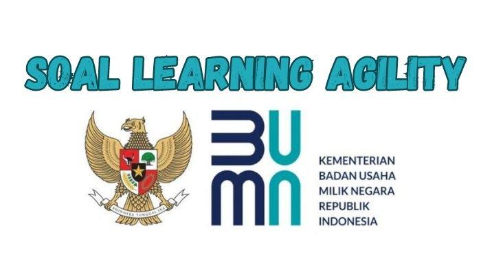 Download Materi Learning Agility Seleksi BUMN 2024, Dilengkapi Soal ...