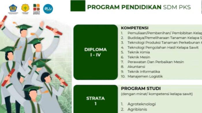 Resmi Dibuka 17 Mei 2025, Ini Cara dan Syarat Daftar Beasiswa Sawit 2025 - Halaman all ...