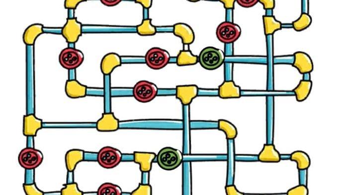 Kunci Jawaban Brain Out Level 121-150 Induk Ayam Hilang Lagi ...