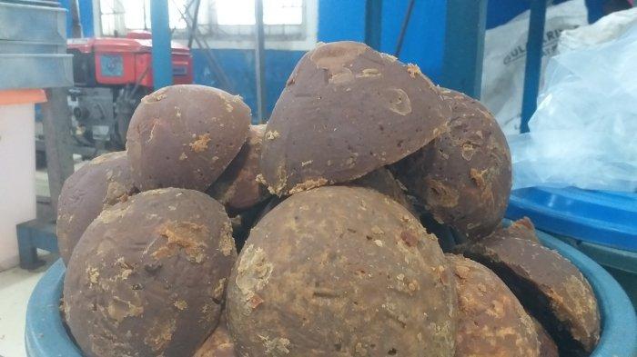 Berkunjung ke Rumah Produksi Gula Sari Aren di Rejang Lebong, Bisa ...