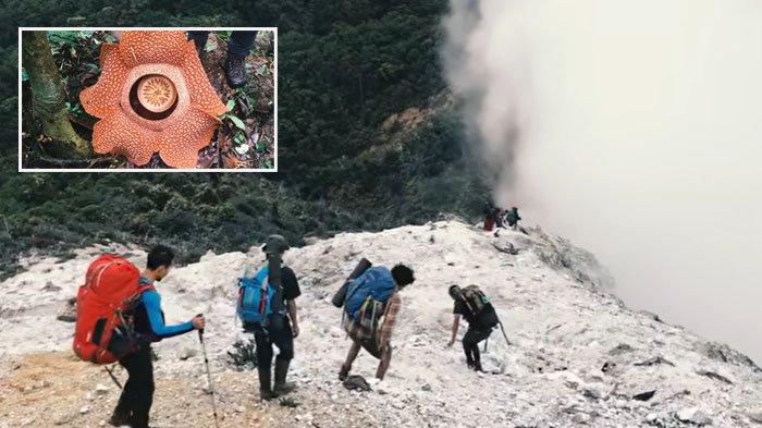 Gunung Patah Bengkulu : Rute dan Lamanya Mendaki, Gunung Aktif Kaya ...
