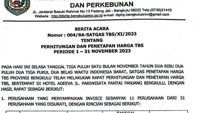 Terbaru, Ketetapan Harga TBS Sawit di Bengkulu Rp 2.660 per Kilogram ...