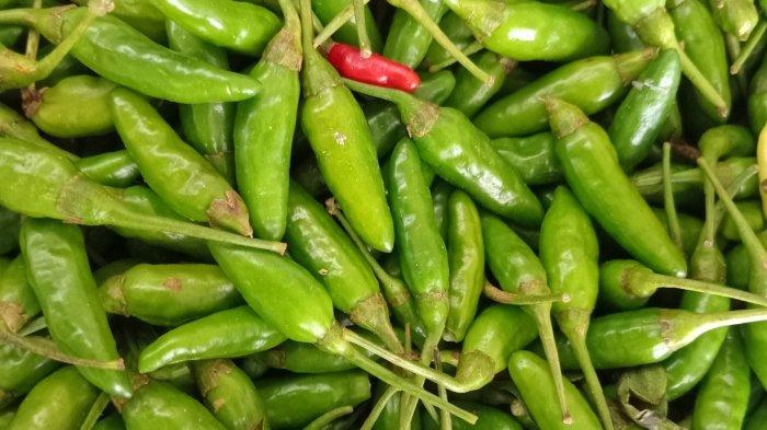Harga Cabai Melonjak di Kepahiang Bengkulu, Tembus Rp 80 Ribu Per Kilogram - Tribunbengkulu.com