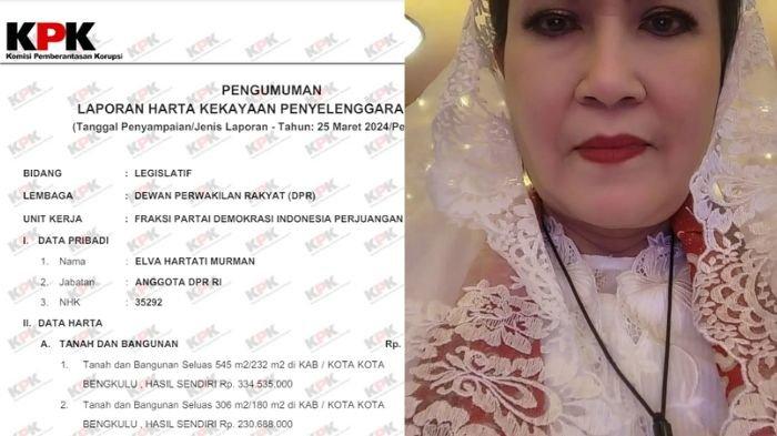 Harta Kekayaan Elva Hartati yang Legowo Usai PDI-P Usung Helmi Hasan-Mian di Pilgub 2024 ...