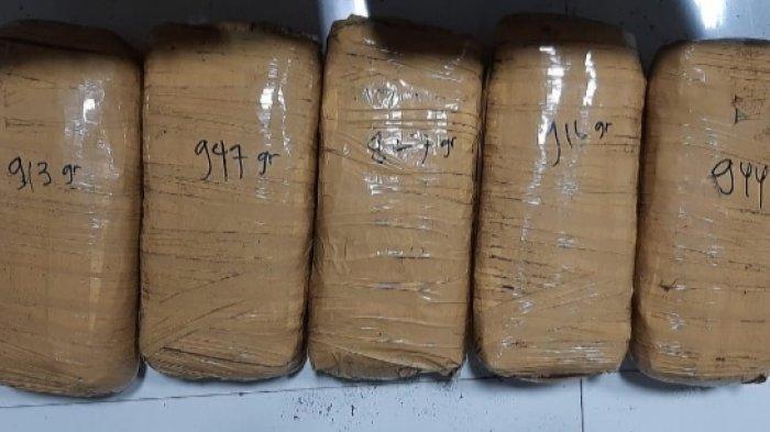 Pengiriman Paket Ganja Seberat 75 Kilogram ke Pulau Jawa Digagalkan ...