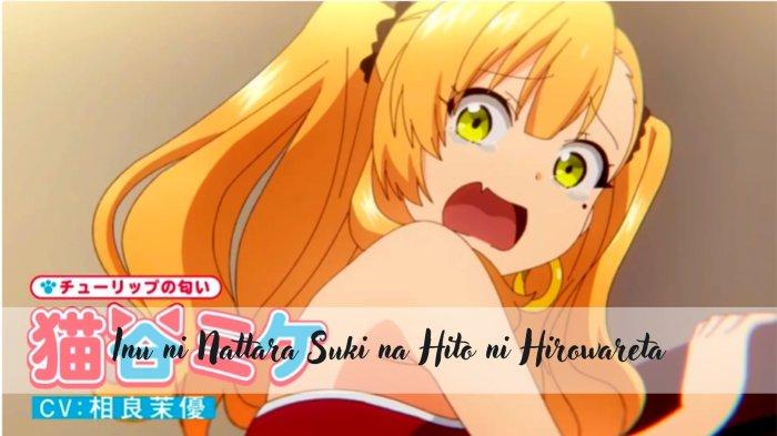 Nonton Anime Inu Ni Nattara Suki Na Hito Ni Hirowareta Episode 6 Sub 2318