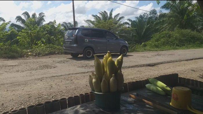 Keluh Kesah Penjual di Pinggir Jalan Rusak di Bengkulu Utara: Hujan ... Keluh Kesah Penjual di Pinggir Jalan Rusak di Bengkulu Utara: Hujan ...
