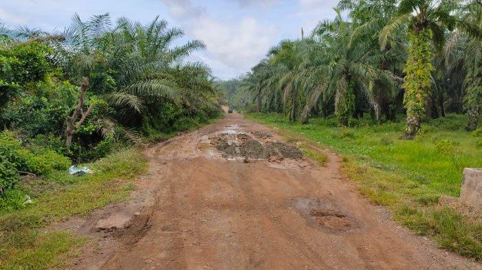 Ruas Jalan Jayakarta-Air Sebakul Bengkulu Tengah Sepanjang 3,5 ...