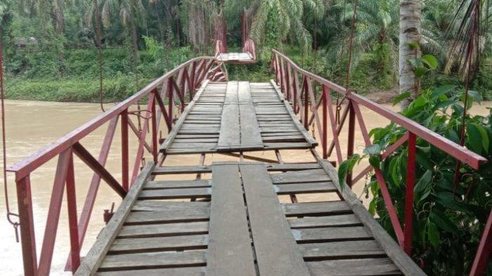 Jembatan di Pino Raya Bengkulu Selatan Putus Diterjang Banjir Bandang, Petani Kesulitan ...