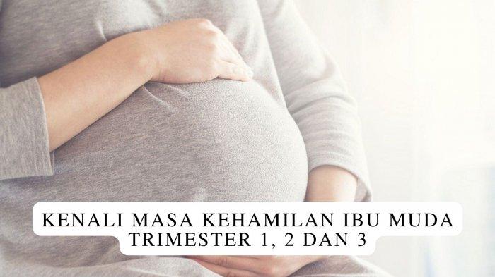Kenali Masa Kehamilan Ibu Muda Trimester 1, Trimester 2 dan Trimester 3 ...