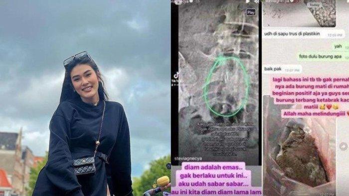 Sempat Curhat Disantet, Stevie Agnecya Mantan Istri Samuel Rizal ...