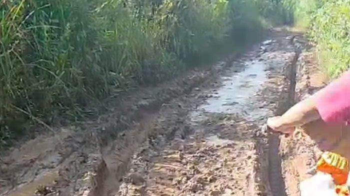 Perbaikan Jalan Langgar Jaya-Damar Kencana Kepahiang Sebatas Janji ...