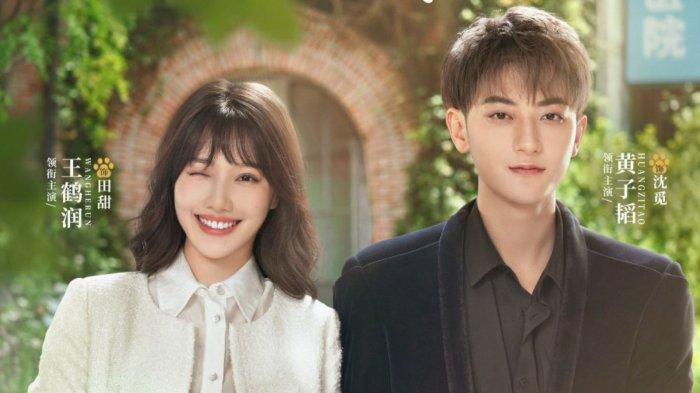 Link Nonton My Precious Sub Indo, Drama China FYP TikTok yang Dibintangi Z.Tao dan Rain Wang ...