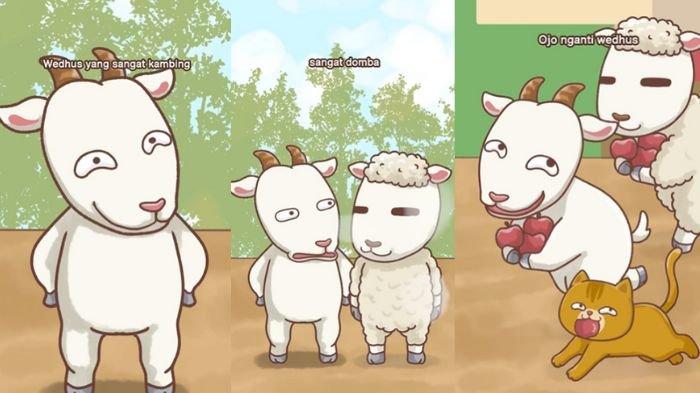 Lirik dan Terjemahan Lagu Wedus Kentir Viral di Instagram: Wedus yang ...