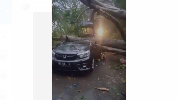 BREAKING NEWS: Pohon Tumbang Diterjang Badai Bengkulu Timpa Mobil Berpenumpang hingga Ringsek ...