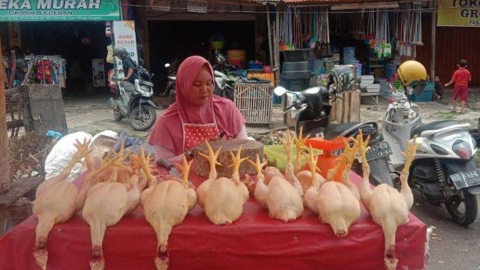 Harga Daging Ayam Potong di Kota Bengkulu Turun, Tetapi Penjual ...