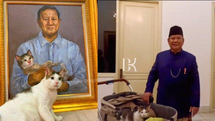 Momen Bobby Kertanegara, Kucing 'Kasta Tertinggi' di Indonesia Saat ...