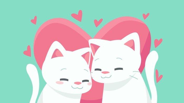 PP Couple Kucing Terpisah, Berikut Kumpulan PP Couple Terbaru dari ...