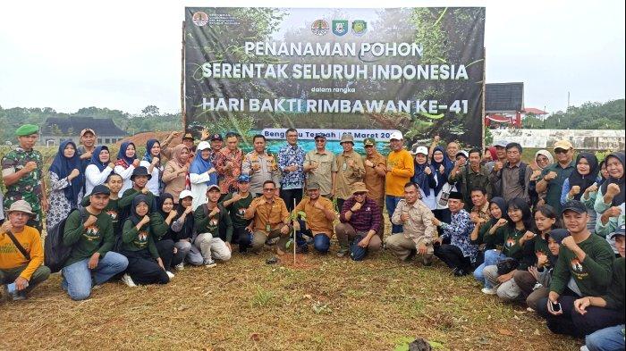 Pemkab Bengkulu Tengah Bakal Tanam 5.000 Pohon Bambu, Antisipasi Banjir dan Longsor ...