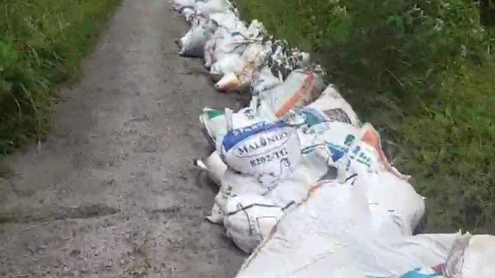 Kades Sebut Aktivitas Pengumpulan Batubara Ilegal di HPT Rindu Hati Sudah Berlangsung Sepekan ...