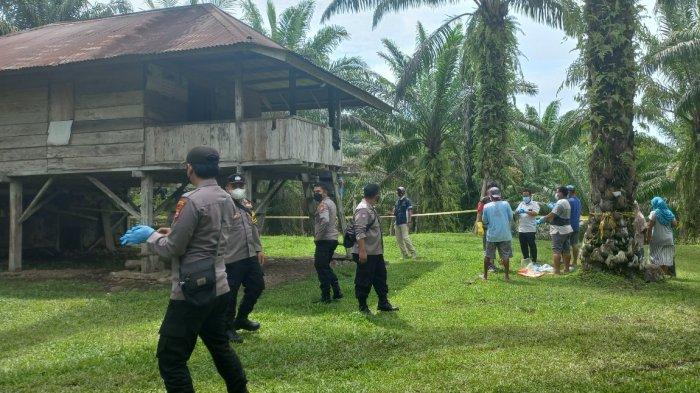 Temuan Jasad di Pondok Kebun Sawit di Bengkulu Selatan, Ternyata Korban Penjaga Kebun Sawit ...