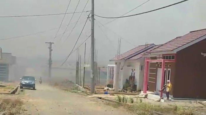 Asap Tebal Karhutla Selimuti Perumahan di Bengkulu, Warga Mengungsi hingga Balita Muntah-muntah ...