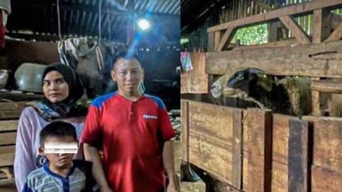Nasib Keluarga Sukiman Tidur di Kandang Domba, Tinggal Bercampur Bau Kotoran,Tak Pernah Dapat ...