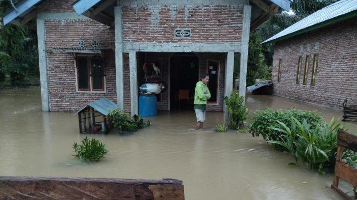 Rumah Terendam Banjir, Warga Dua Desa di Bengkulu Selatan Ini Mengungsi ...