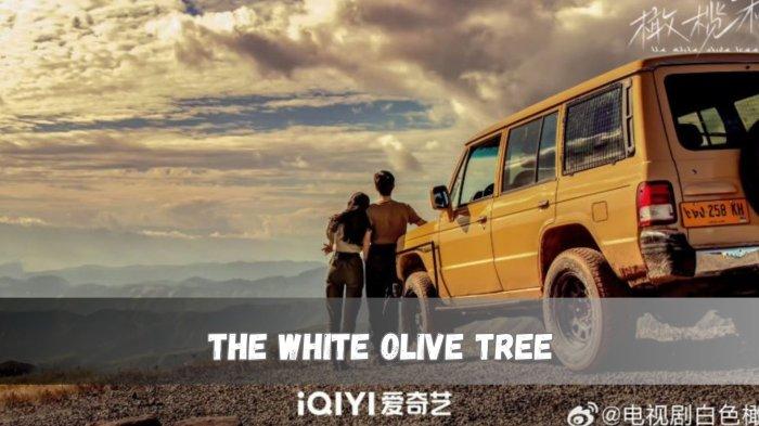 Sinopsis Drama China The White Olive Tree yang Dibintangi Chen Zhe Yuan dan Liang Jie ...