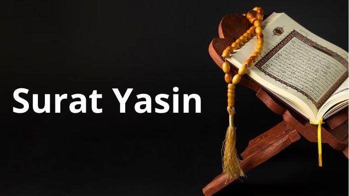 Surat Yasin Latin Lengkap 83 Ayat yang Mudah Dibaca dan Diamalkan ...