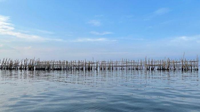 TERJAWAB Siapa Pemilik Pagar Laut Sepanjang 30 KM di Tangerang, Ini Sederet Fakta Baru - Halaman ...