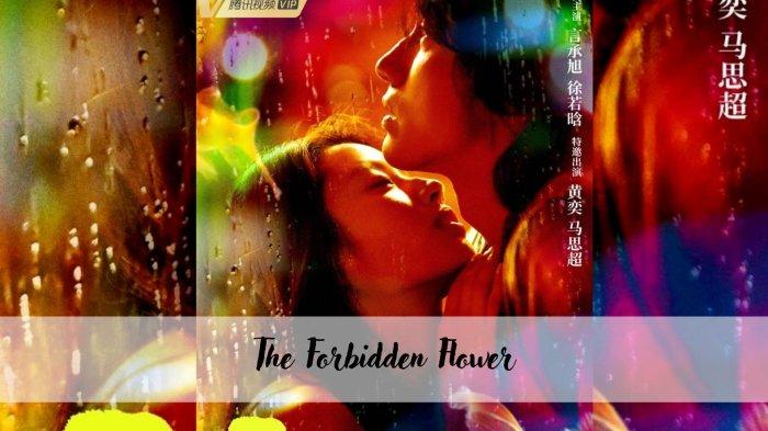 Daftar Pemeran, Jadwal Tayang dan Link Nonton The Forbidden Flower Sub ...