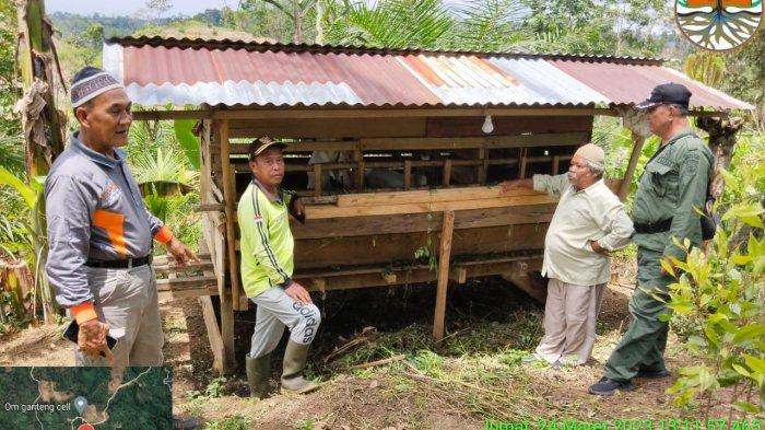 Harimau Masuk Desa dan Nyaris Terkam Ternak di Mukomuko, Ini Imbauan ...