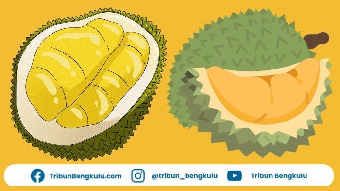 5 Tips Pilih Durian Daging Tebal dan Manis, Ternyata Dilihat dari Bentuk Duri dan Tangkainya ...