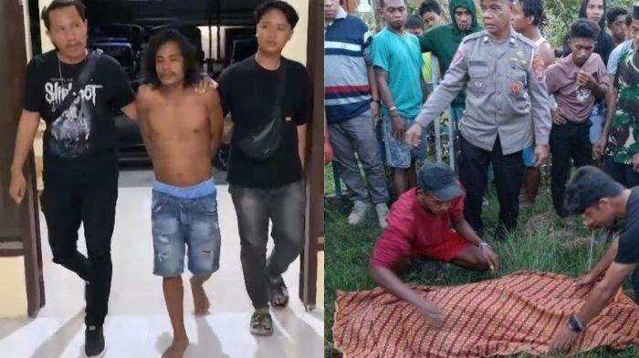 Viral Pria di Sultra Tega Tikam Teman Hingga Tewas, Gegara Debat Teka Teki 'Ayam atau Telur ...