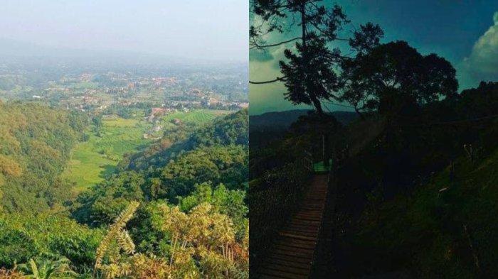 Bosan Liburan di Kota? Intip 5 Tempat Wisata Alam di Bogor yang ...