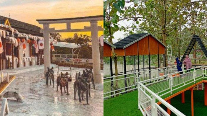 Anti Mahal! 5 Tempat Wisata di Bogor Ini Selalu Ramai Pengunjung, Tapi ...