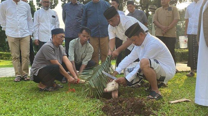 Beda dari yang Lain! Pj Bupati Bogor Jadi Algojo Penyembelih Hewan Kurban di Belakang Rumah ...