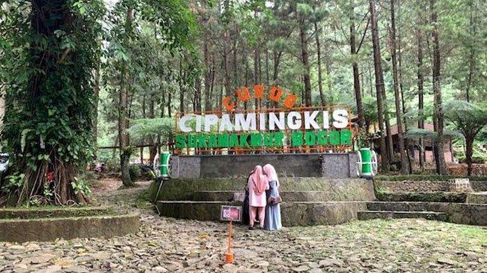 Curug Cipamingkis Bogor Tawarkan Banyak Wahana untuk Keluarga, Ada ...