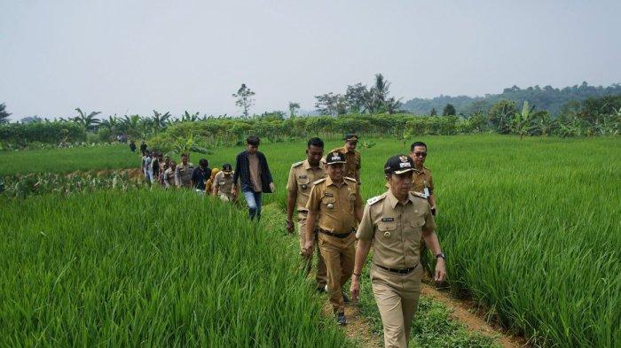 Pemkot Bogor Buka Akses Menuju TPU Mulyaharja, Dedie Rachim : Tahun ... Pemkot Bogor Buka Akses Menuju TPU Mulyaharja, Dedie Rachim : Tahun ...