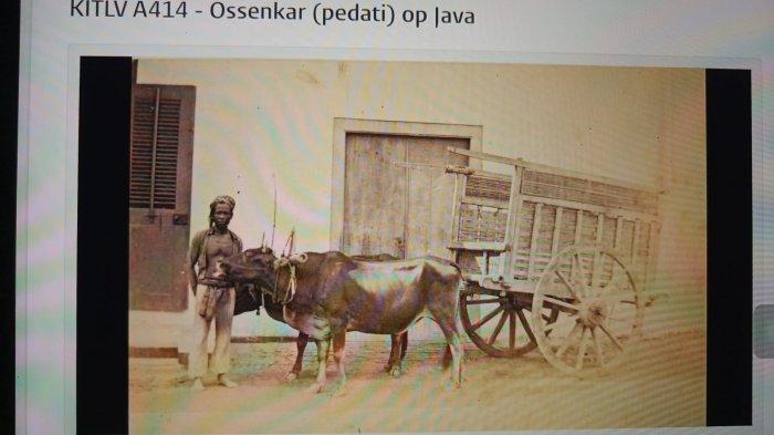 Sepenggal Cerita Jalan Pedati Kota Bogor, Ternyata Pernah Ada Kongsi ...