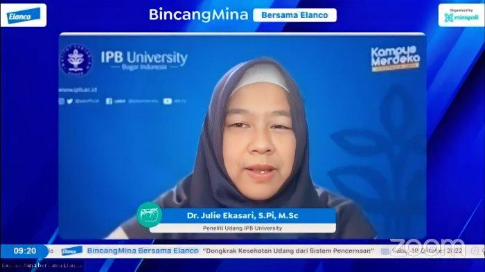 Peneliti IPB University Ungkap Kunci Mempertahankan Kesehatan Udang, Berawal dari Saluran ...