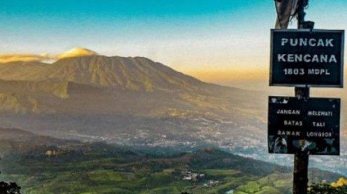 Libur Panjang, Ini 5 Tempat Wisata di Puncak Bogor yang Seru buat Dikunjungi, Bernuansa Alam ...